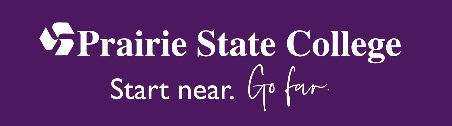 Call for Entries — Chicago Sculpture International