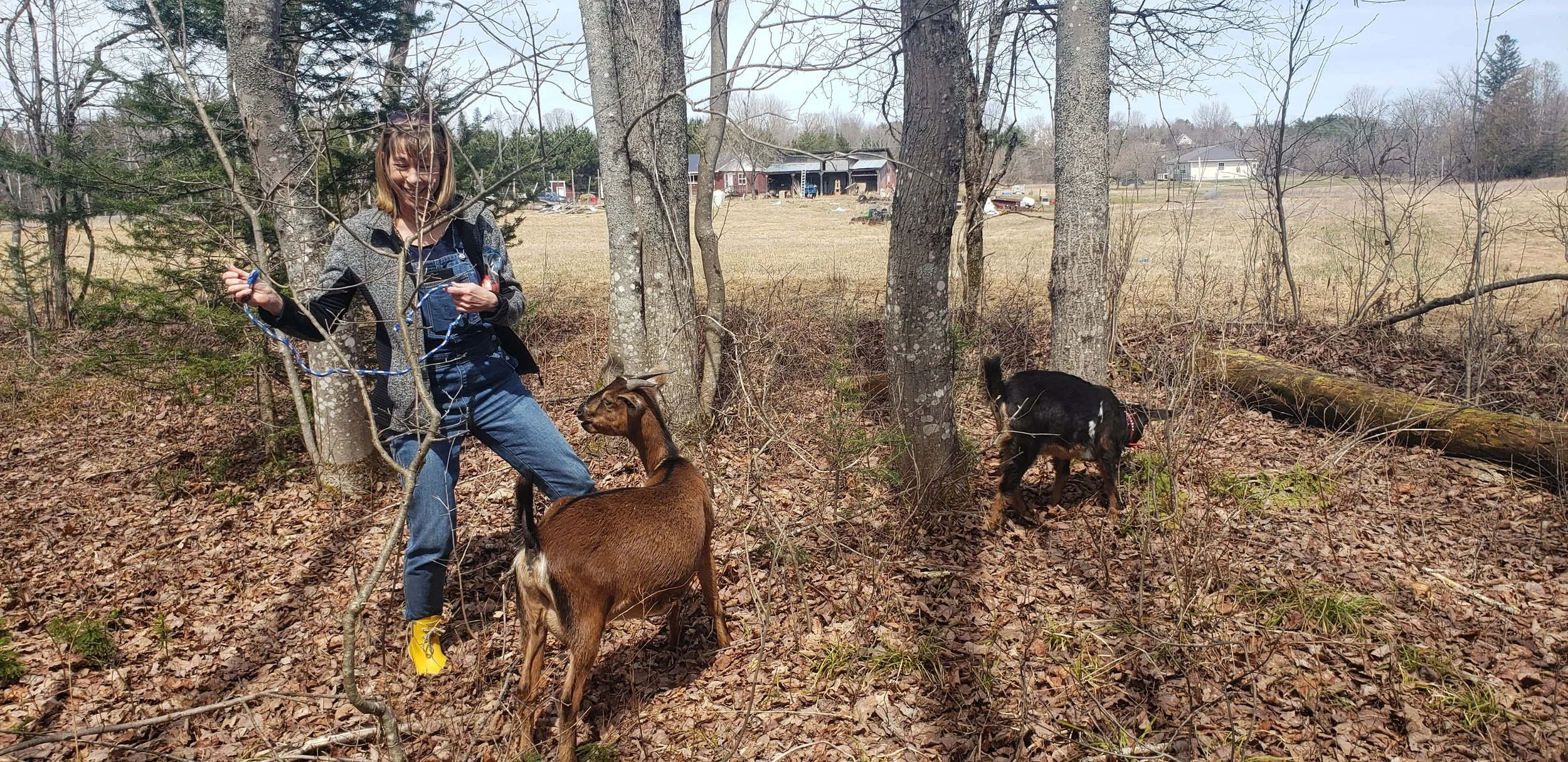 Dancing Goat Therapy Farm