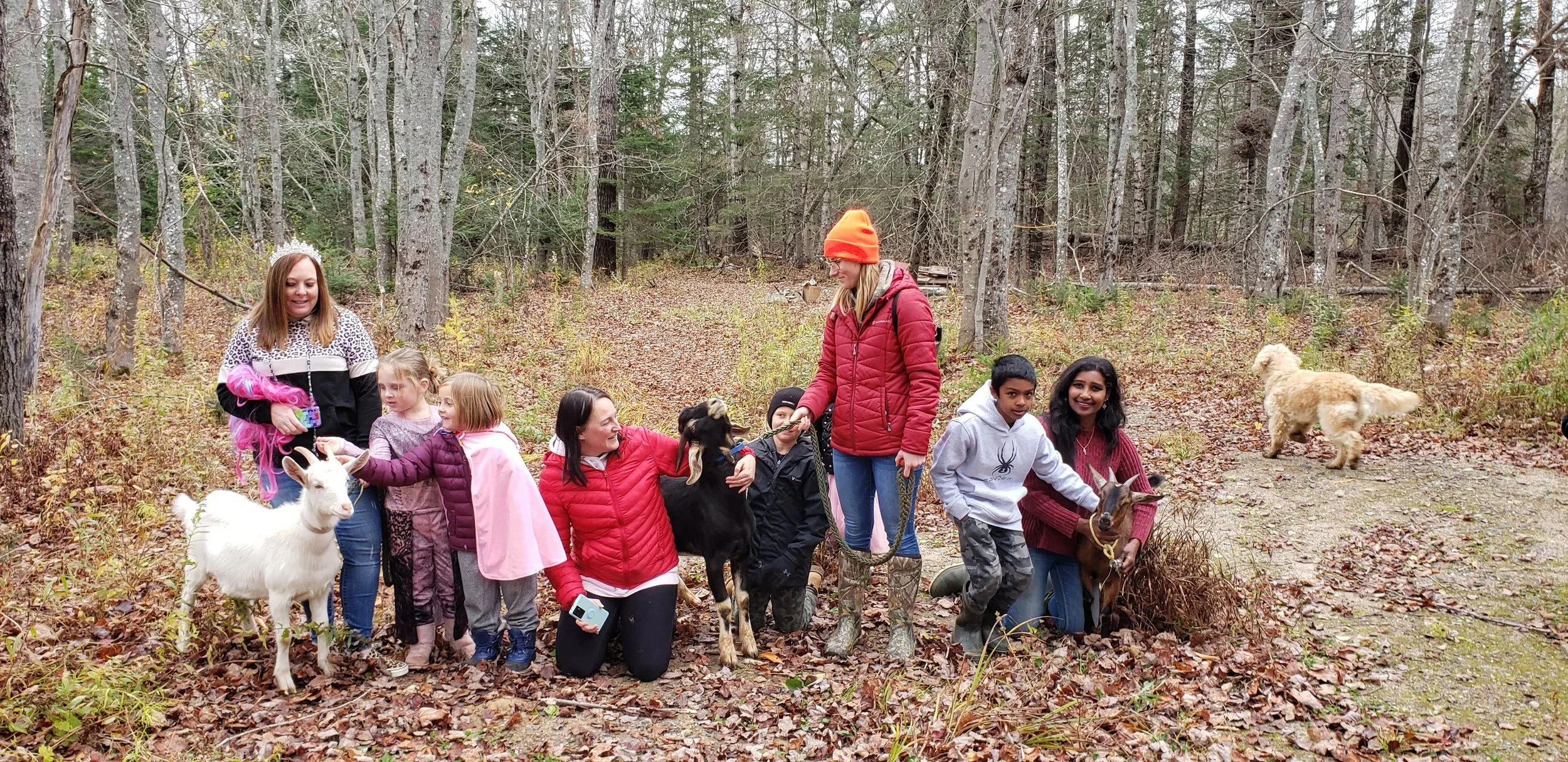 Dancing Goat Therapy Farm