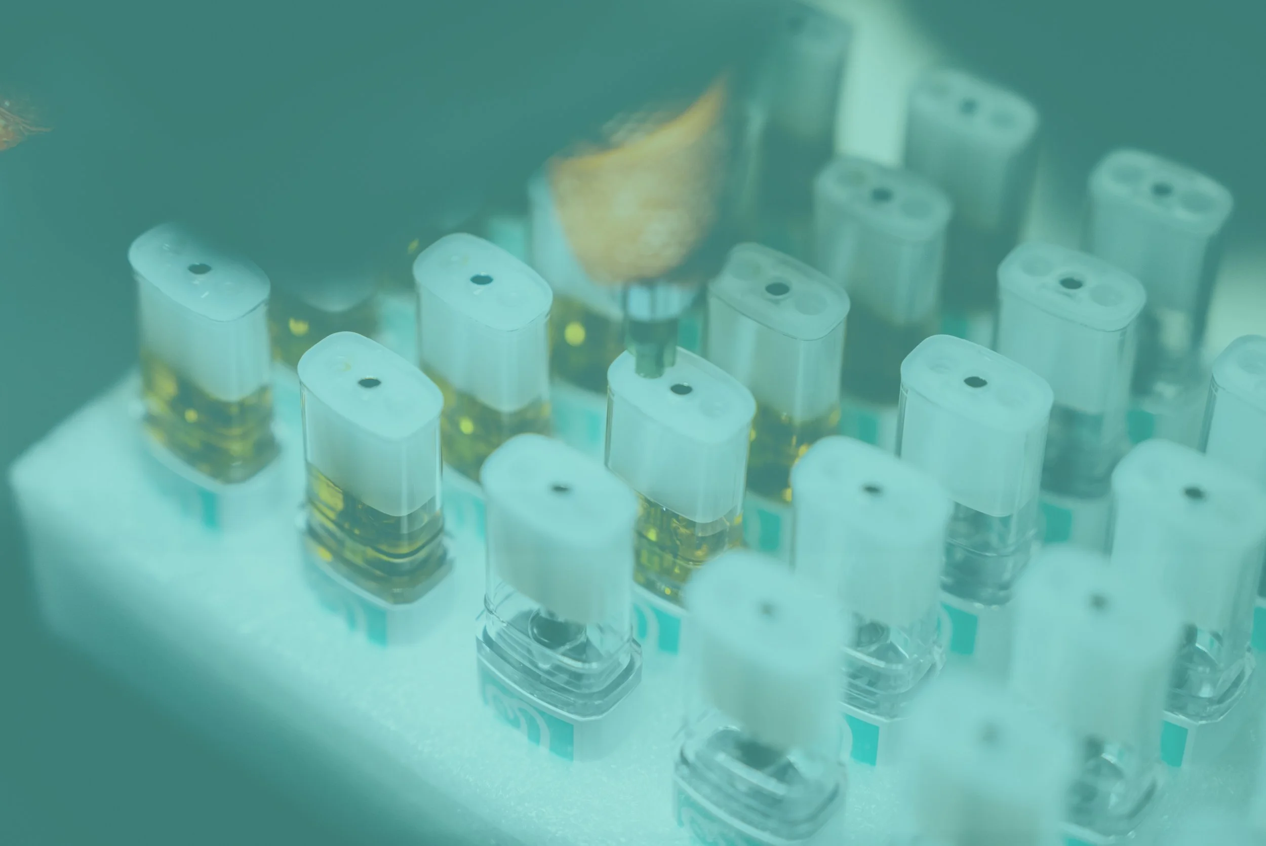 Premium Cannabis in New Mexico | Urban Wellness