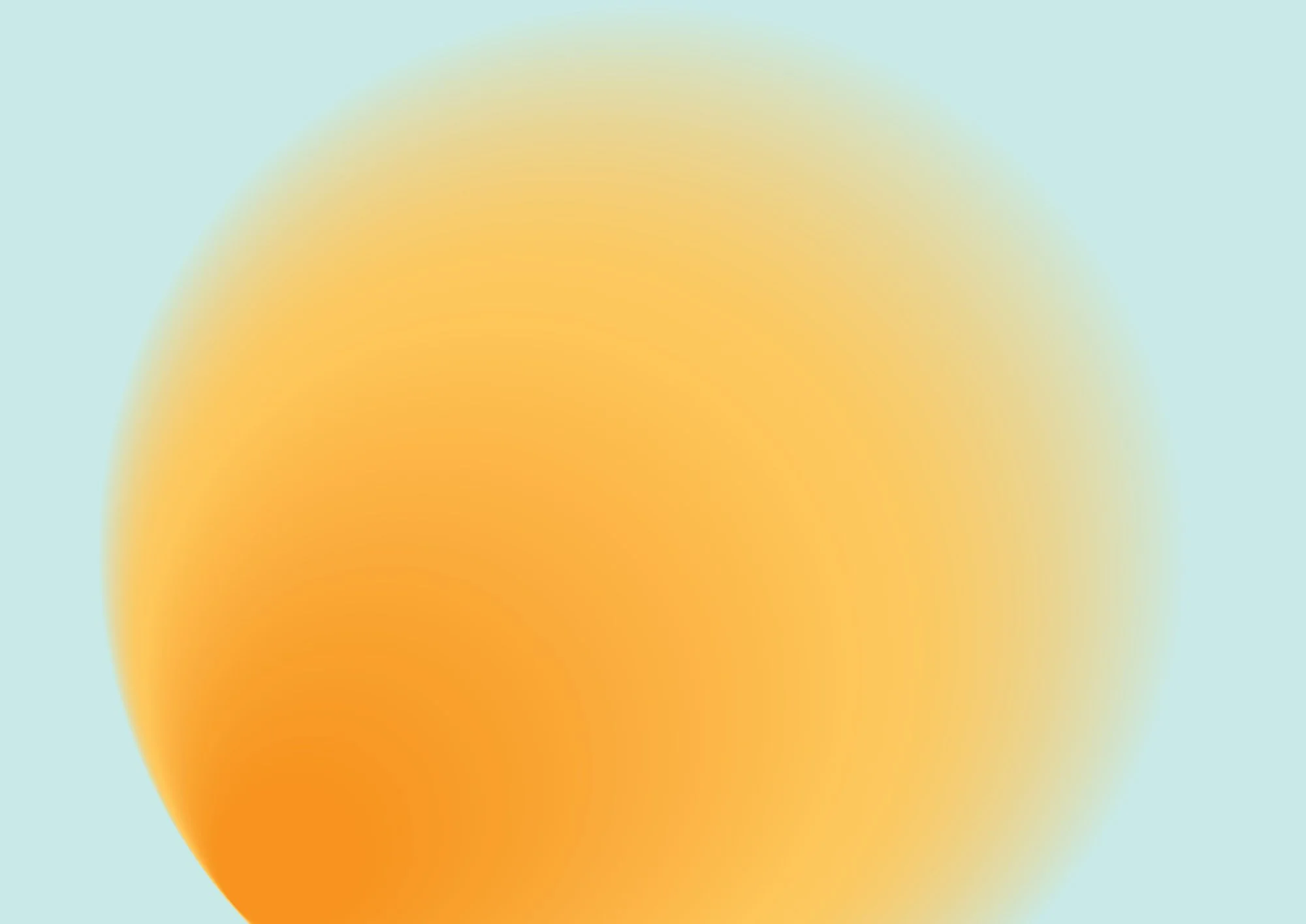 Pricing and Orders — Triggs Technologies