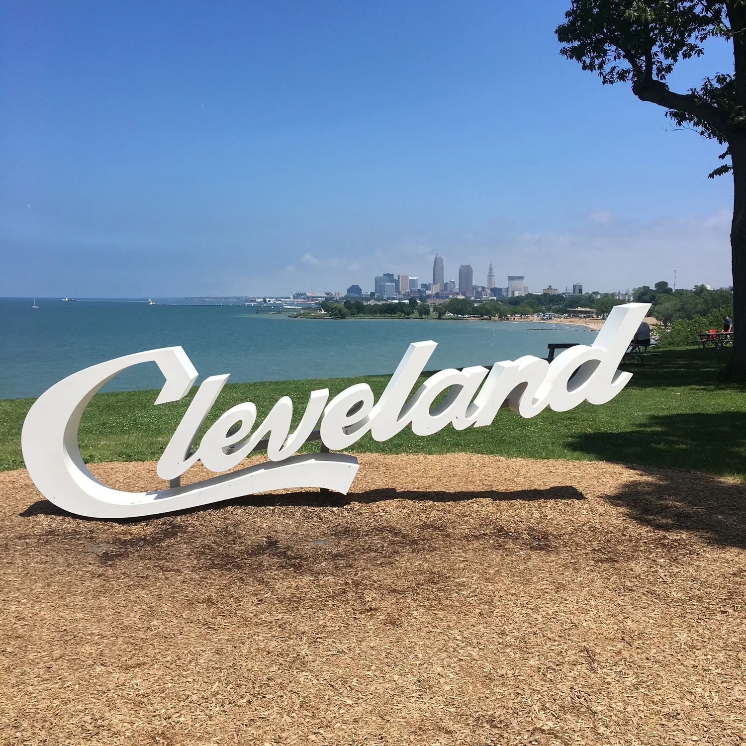 Visit the Cleveland Script Signs — The Cleveland Bucket List