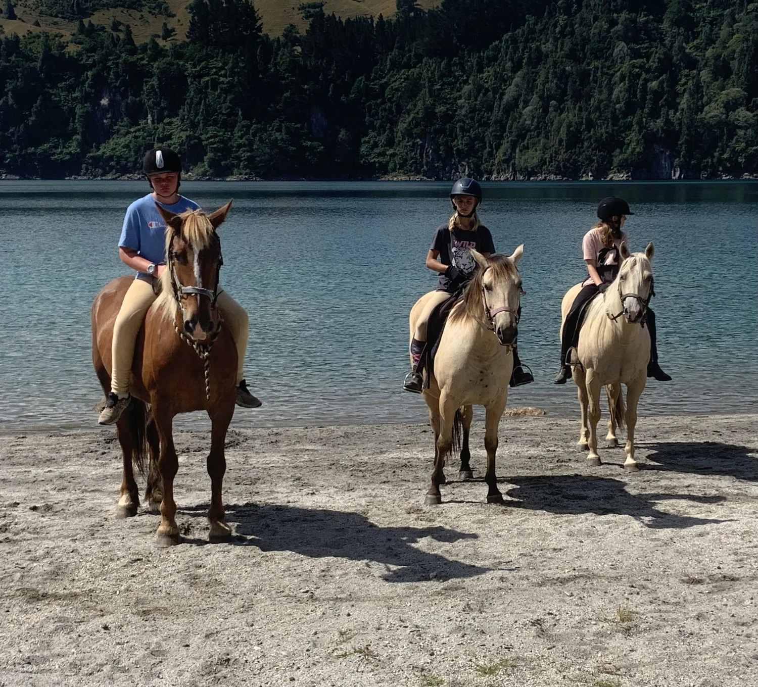 Junior Horse Camp — Lakes Ranch