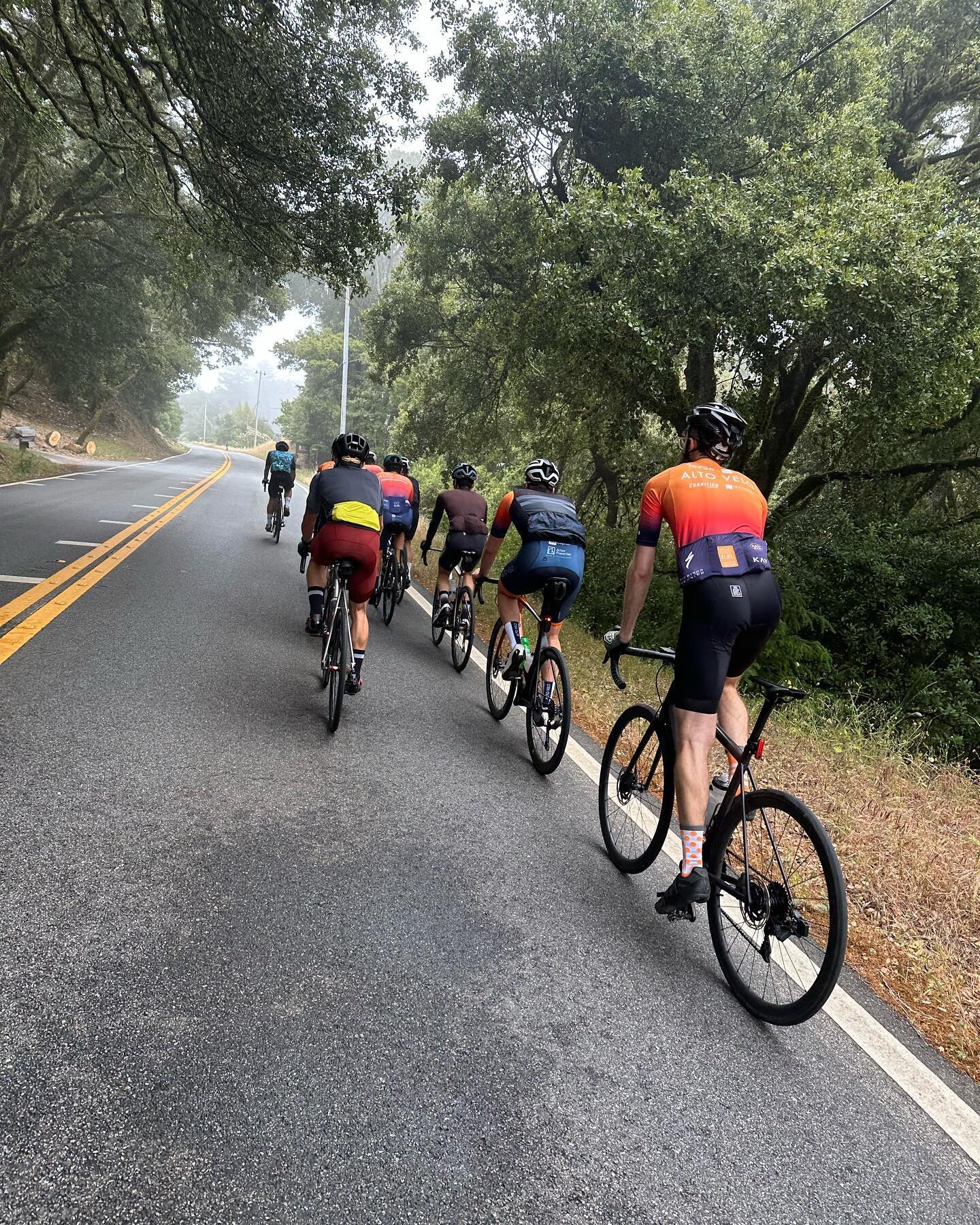 Alto Velo Racing Club