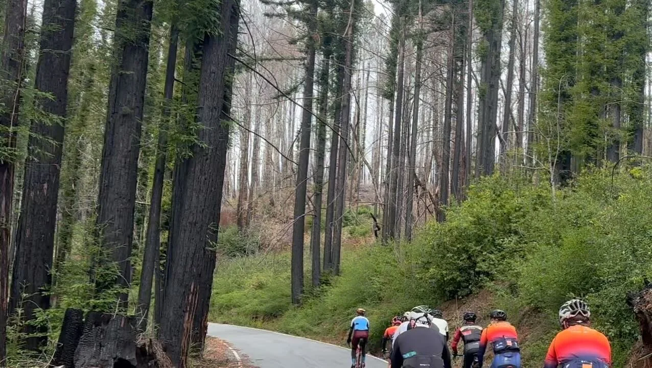 Alto Velo Racing Club