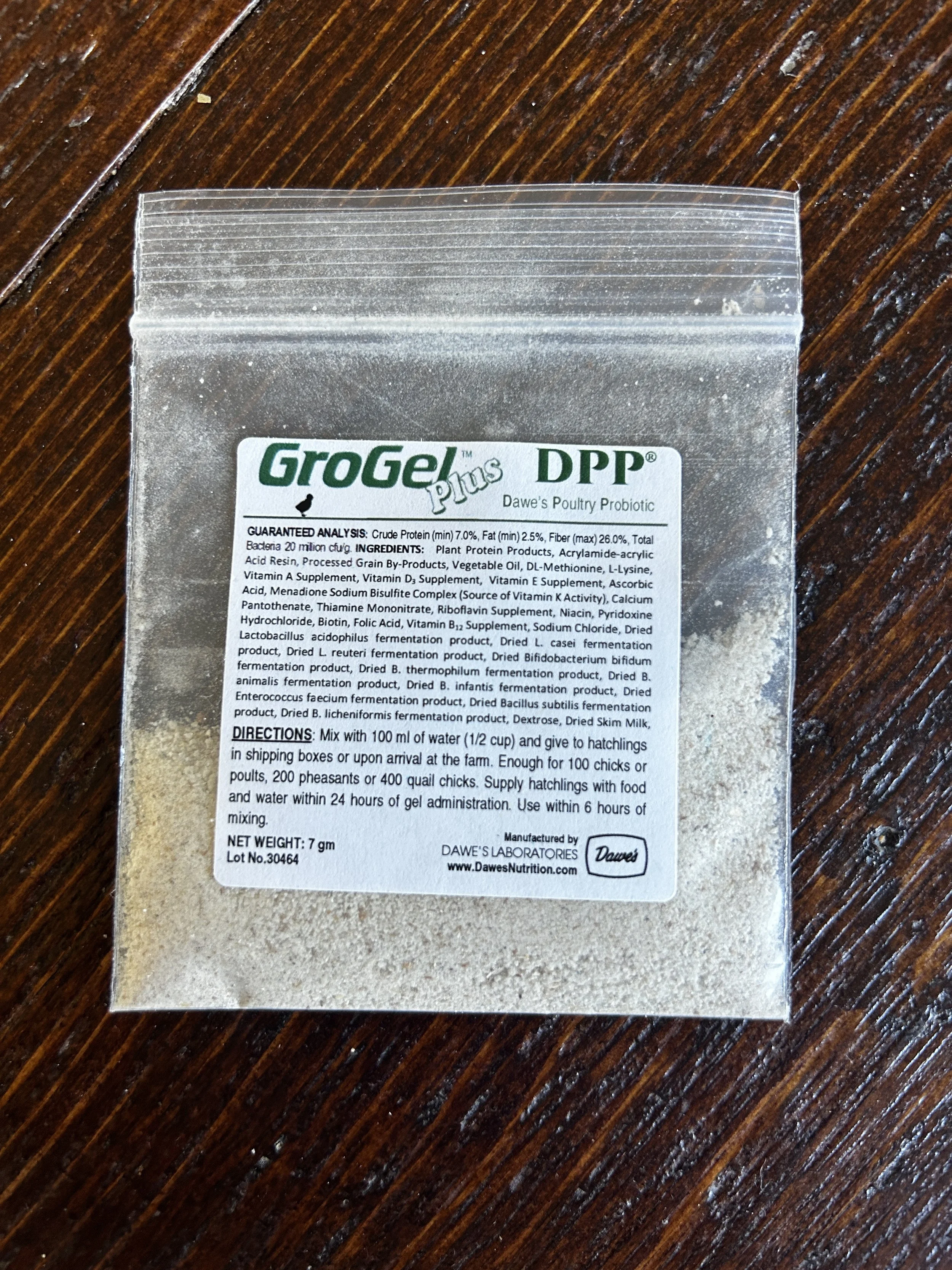 Live Coturnix Quail Hens shipped to you! — Bryant's Roost