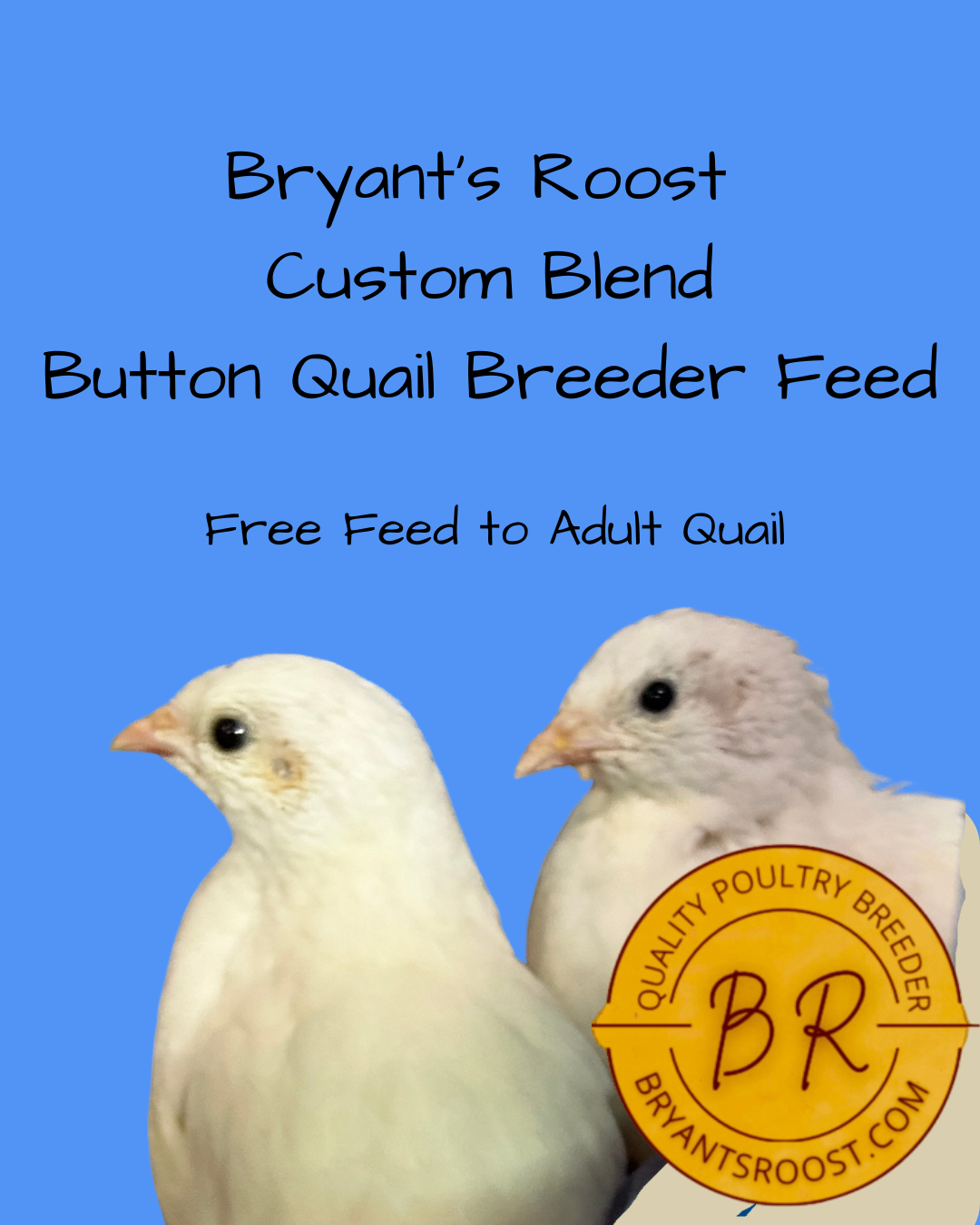 The Button Quail Store at Bryant's Roost — Bryant's Roost