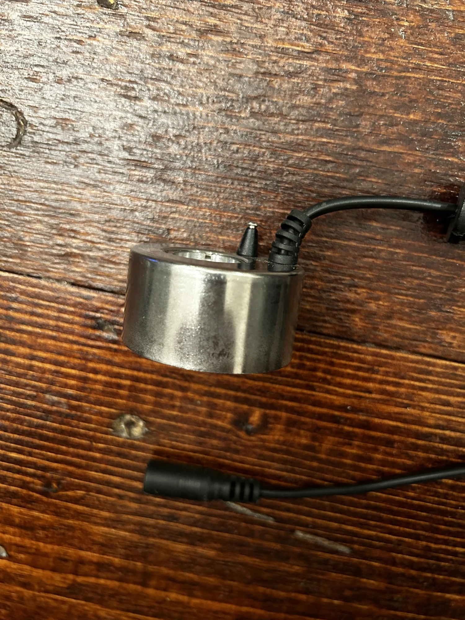 Jumbo Egyptian Coturnix Quail Hatching Eggs ready for your incubator to ...