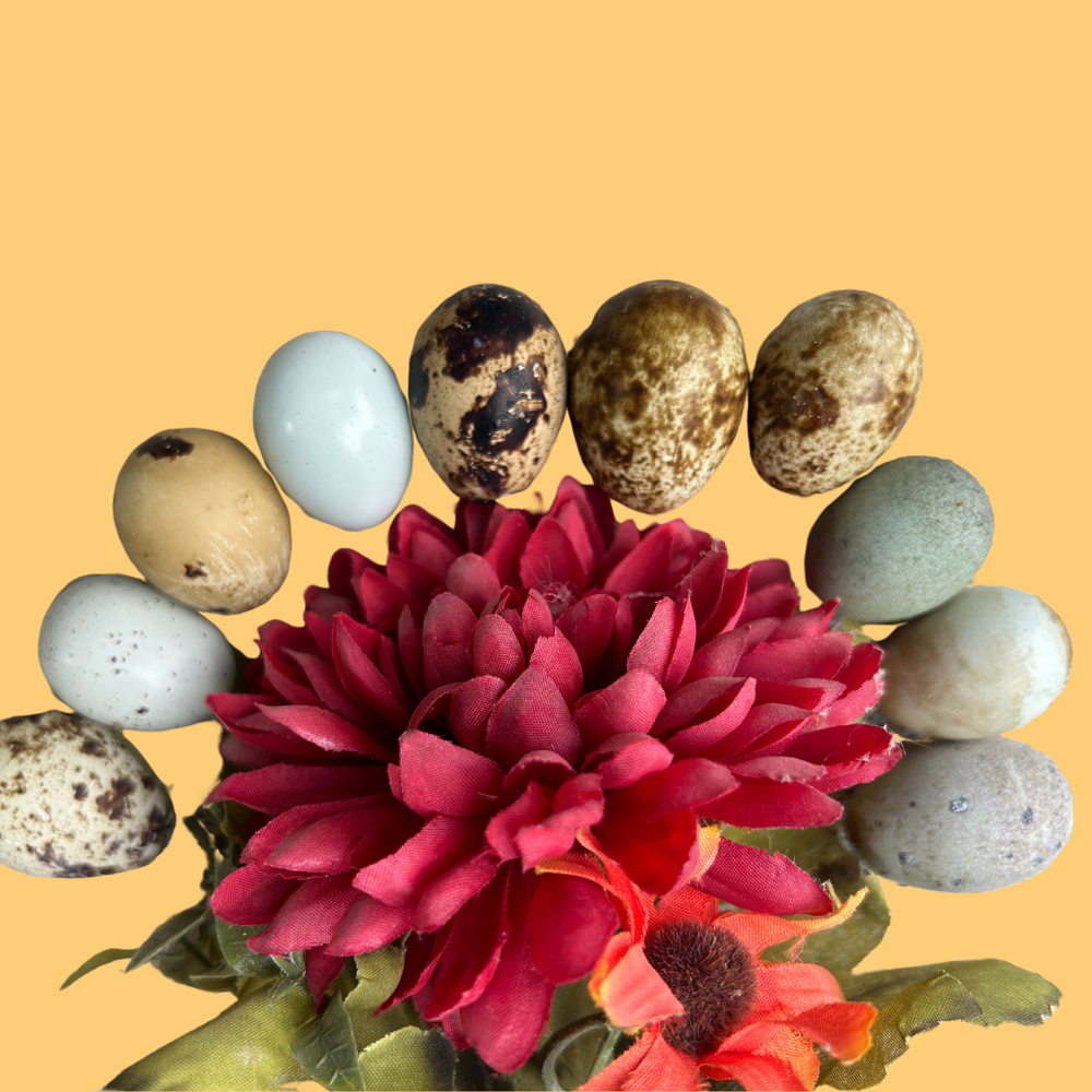 Welcome to Bryant's Roost! Quail Breeder and supplies to support ...