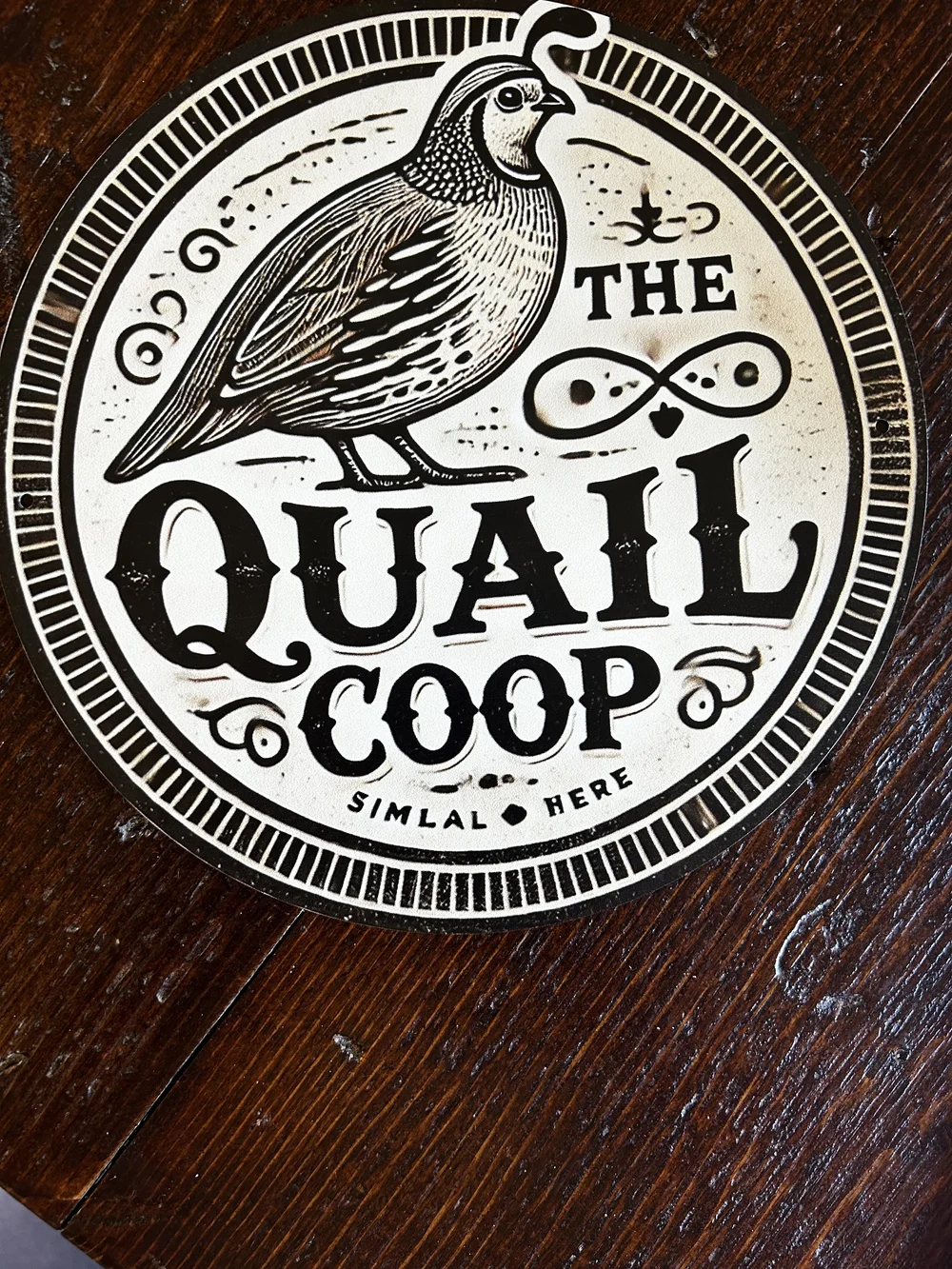 Jumbo Egyptian Coturnix Quail Hatching Eggs ready for your incubator to ...