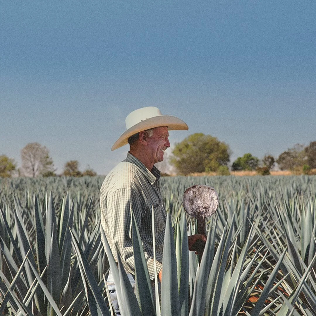 Tequila Corrido