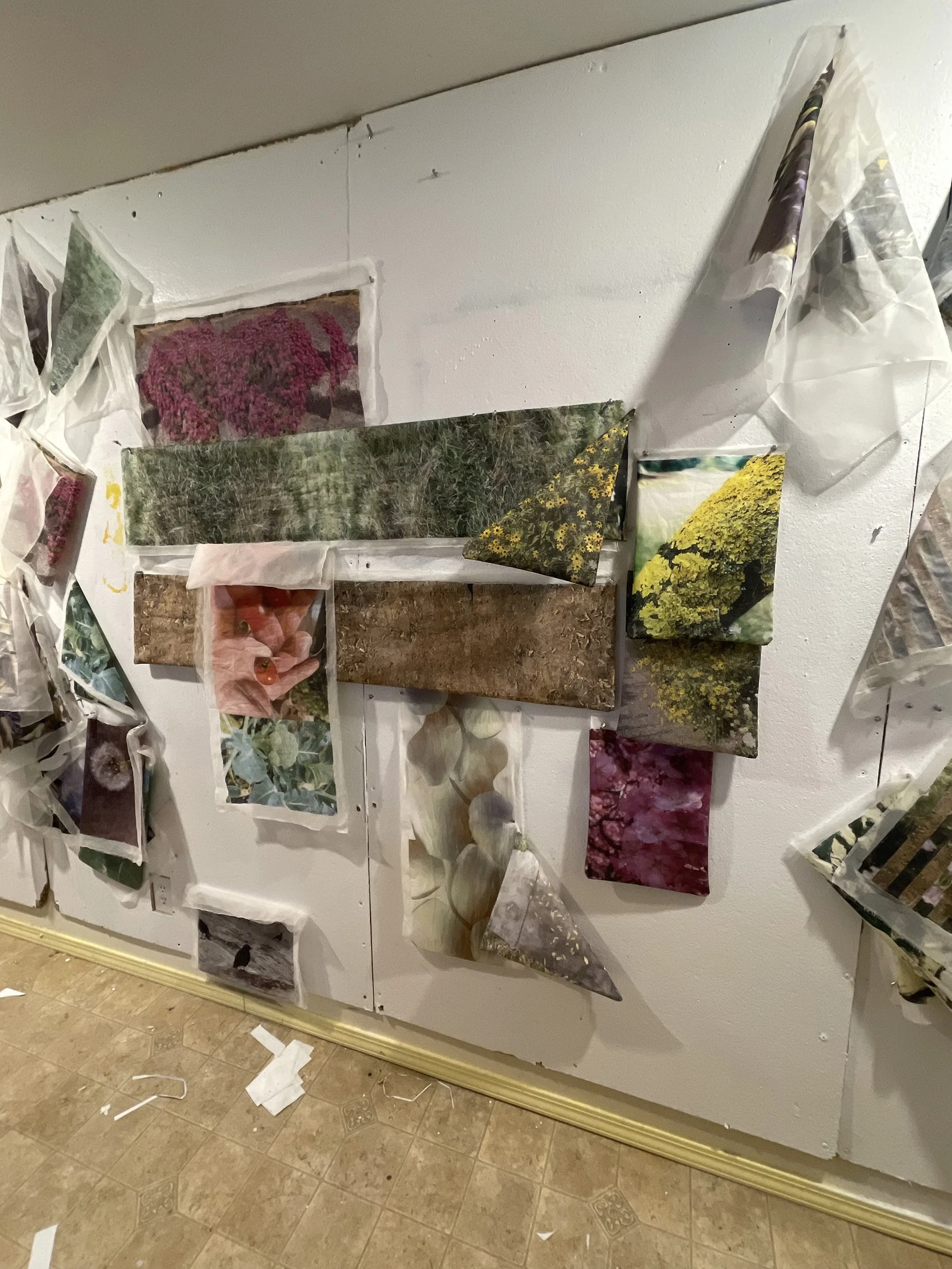 Gallery 3 — SPOTLIGHT NORTH