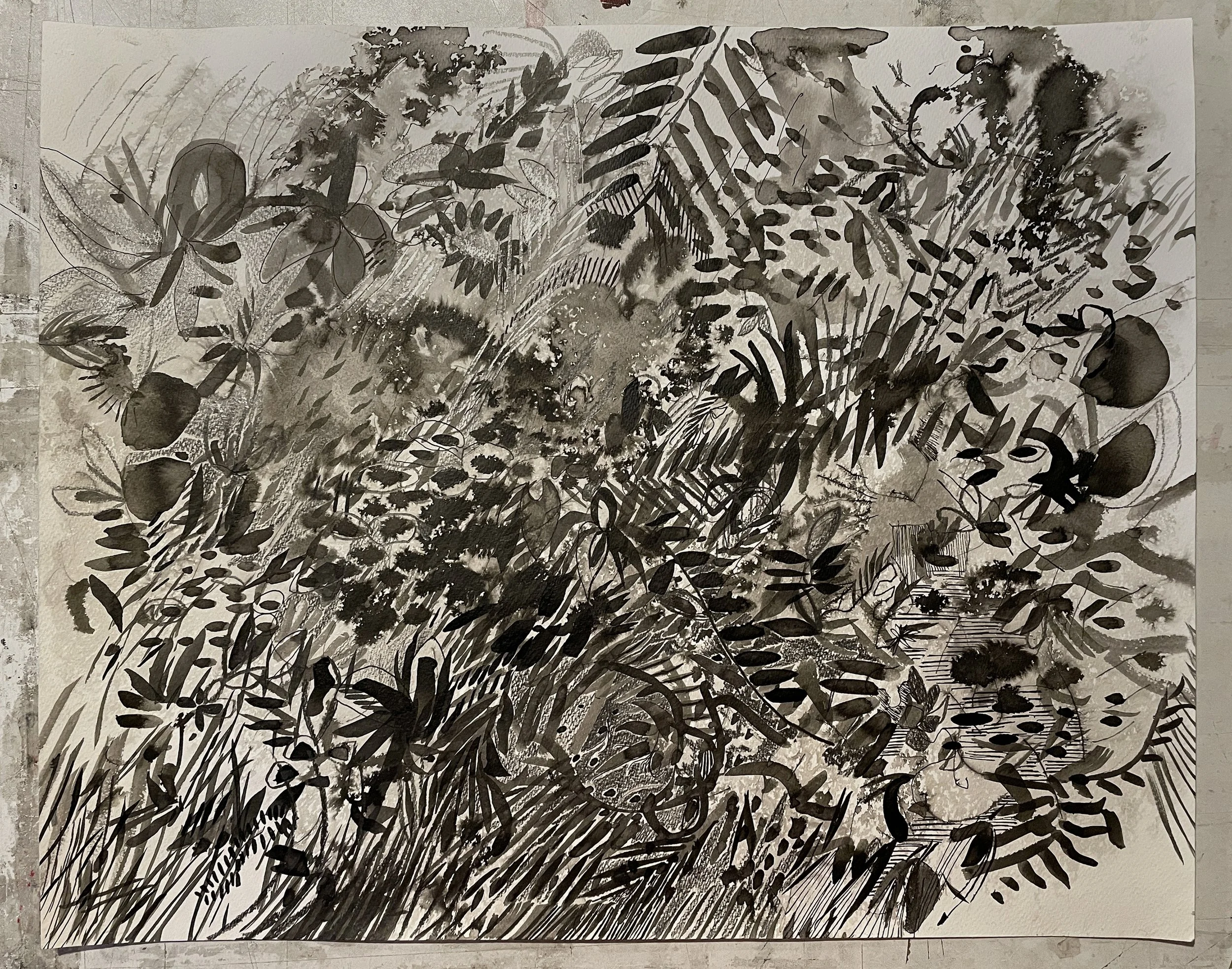 Gallery 3 — SPOTLIGHT NORTH