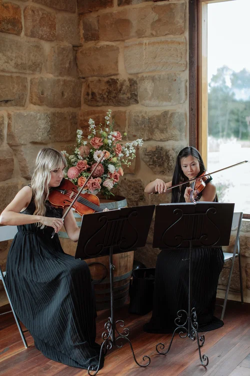 Gallery — Diamond Strings - Boutique string ensemble for wedding ...