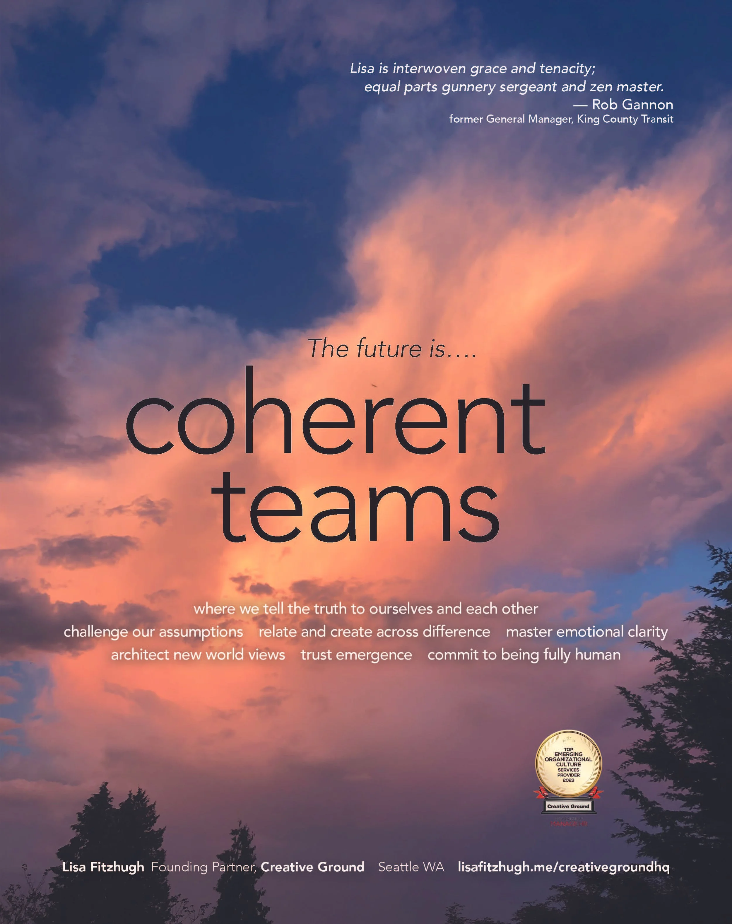 Organizations — Lisa Fitzhugh // Creative Ground