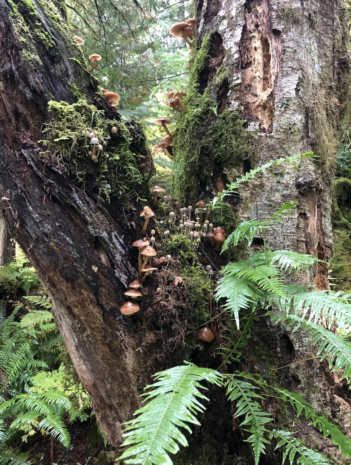 Gathering….Again — Lisa Fitzhugh // Creative Ground