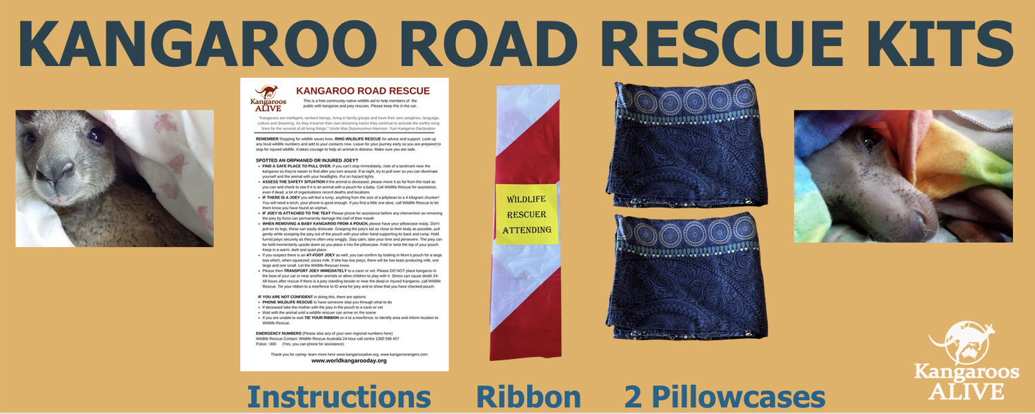 Kangaroo Road Rescue — Kangaroos Alive