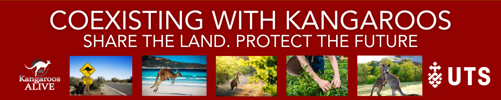Coexisting with Kangaroos — Kangaroos Alive