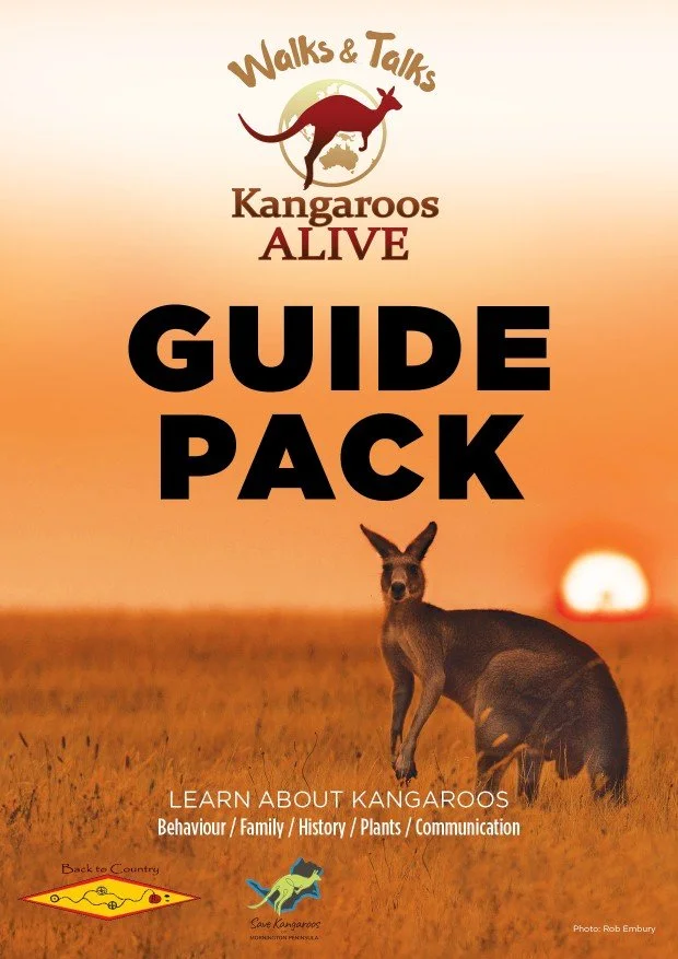 Walk and Talk — Kangaroos Alive