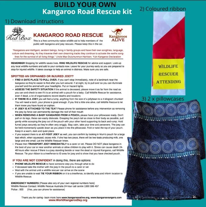 Events — Kangaroos Alive