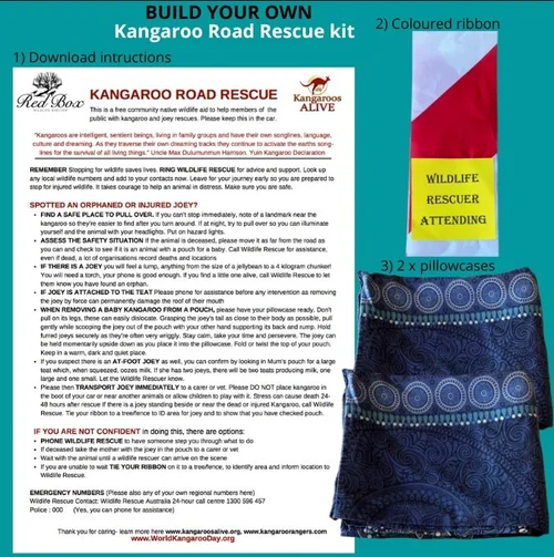 Events — Kangaroos Alive