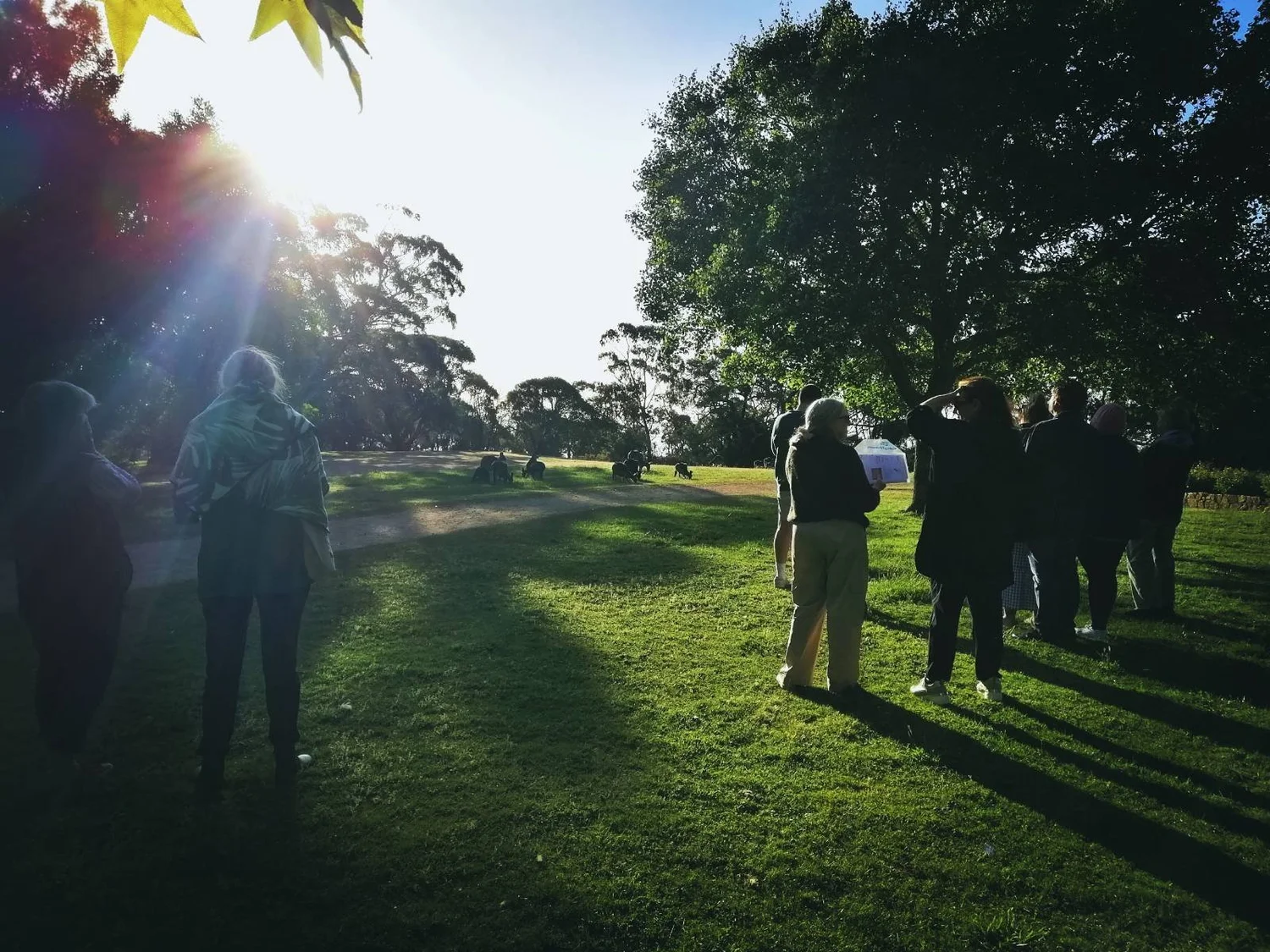 Walk and Talk — Kangaroos Alive