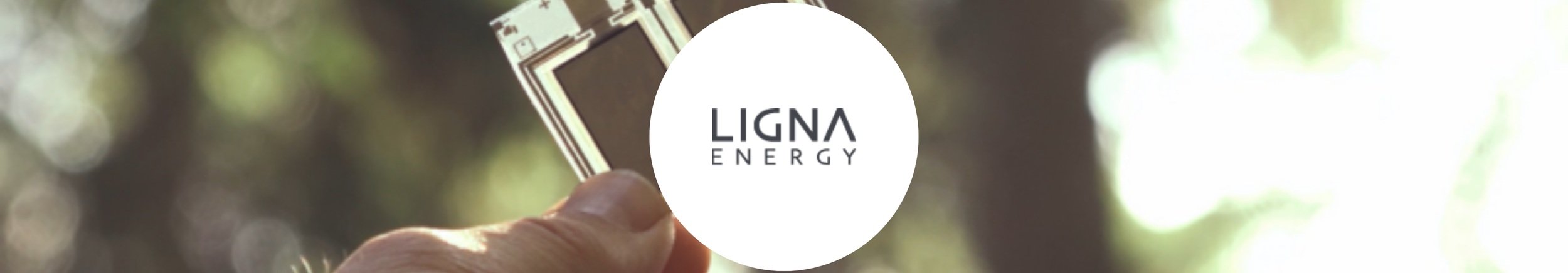 Ligna Energy and GPBM France receive Eurostars funding — GAEU Consulting