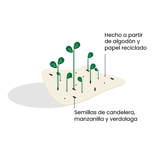 Papel con semillas plantable y personalizable — Bridepalla