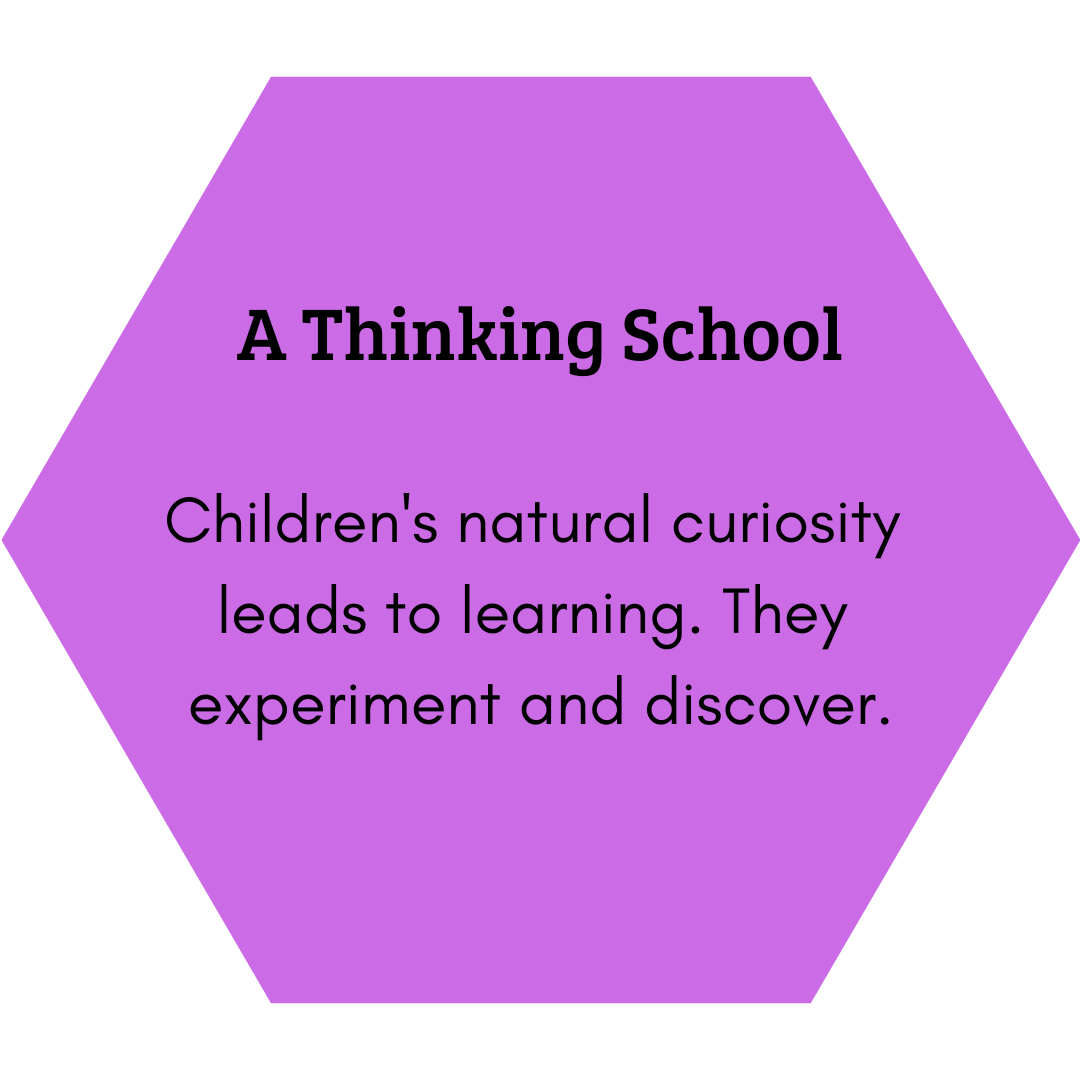 Saplings School Sitges | 3-5 year old Saplings Class | Olive Tree School