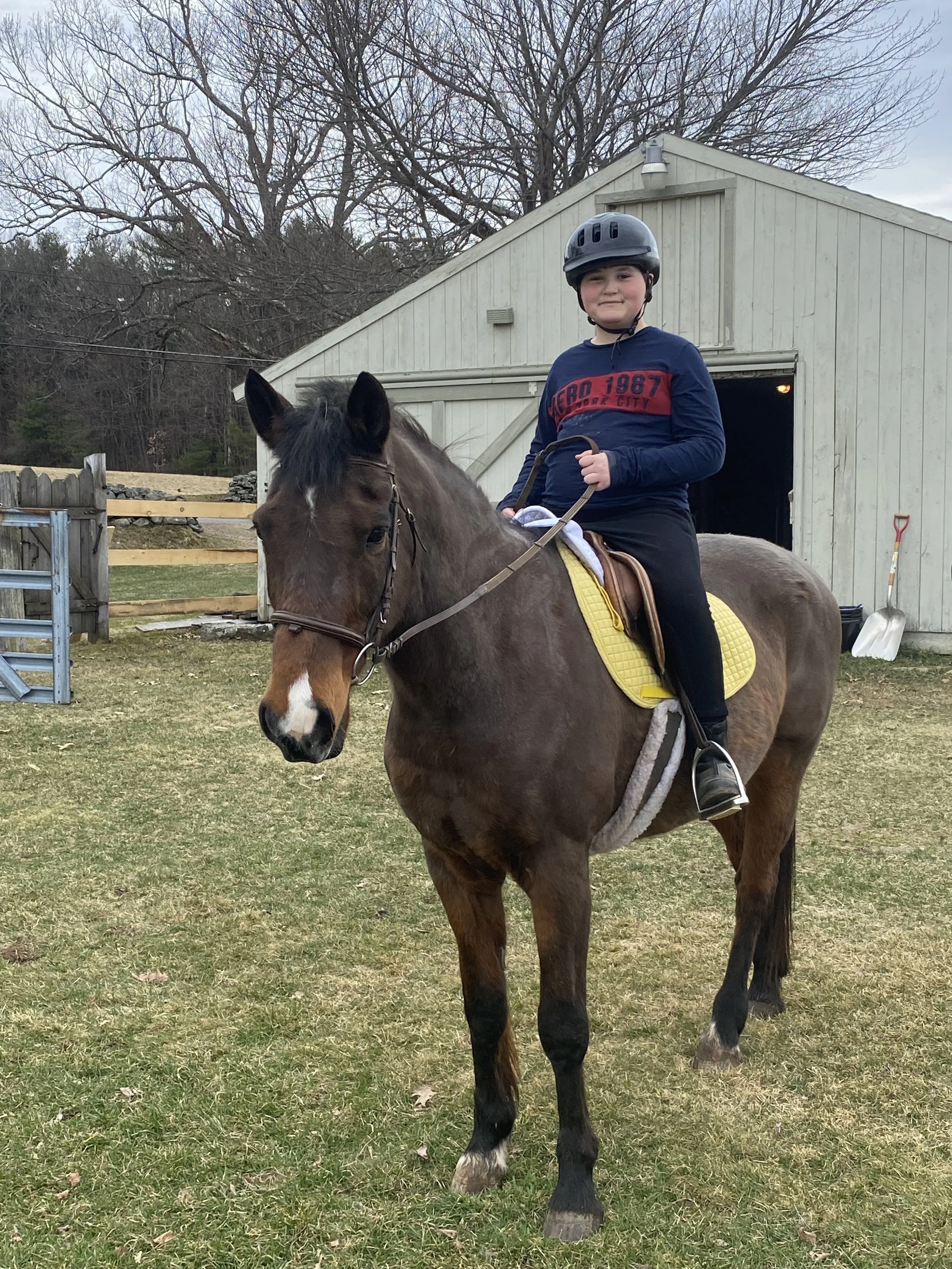 Pony Pals Riding Academy