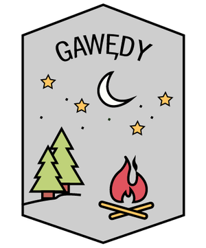 Harcerki Main — ZHP HARCERKI