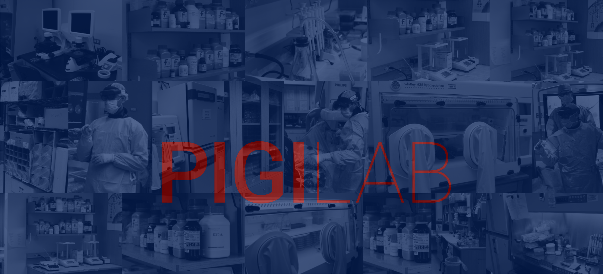 PIGI Lab