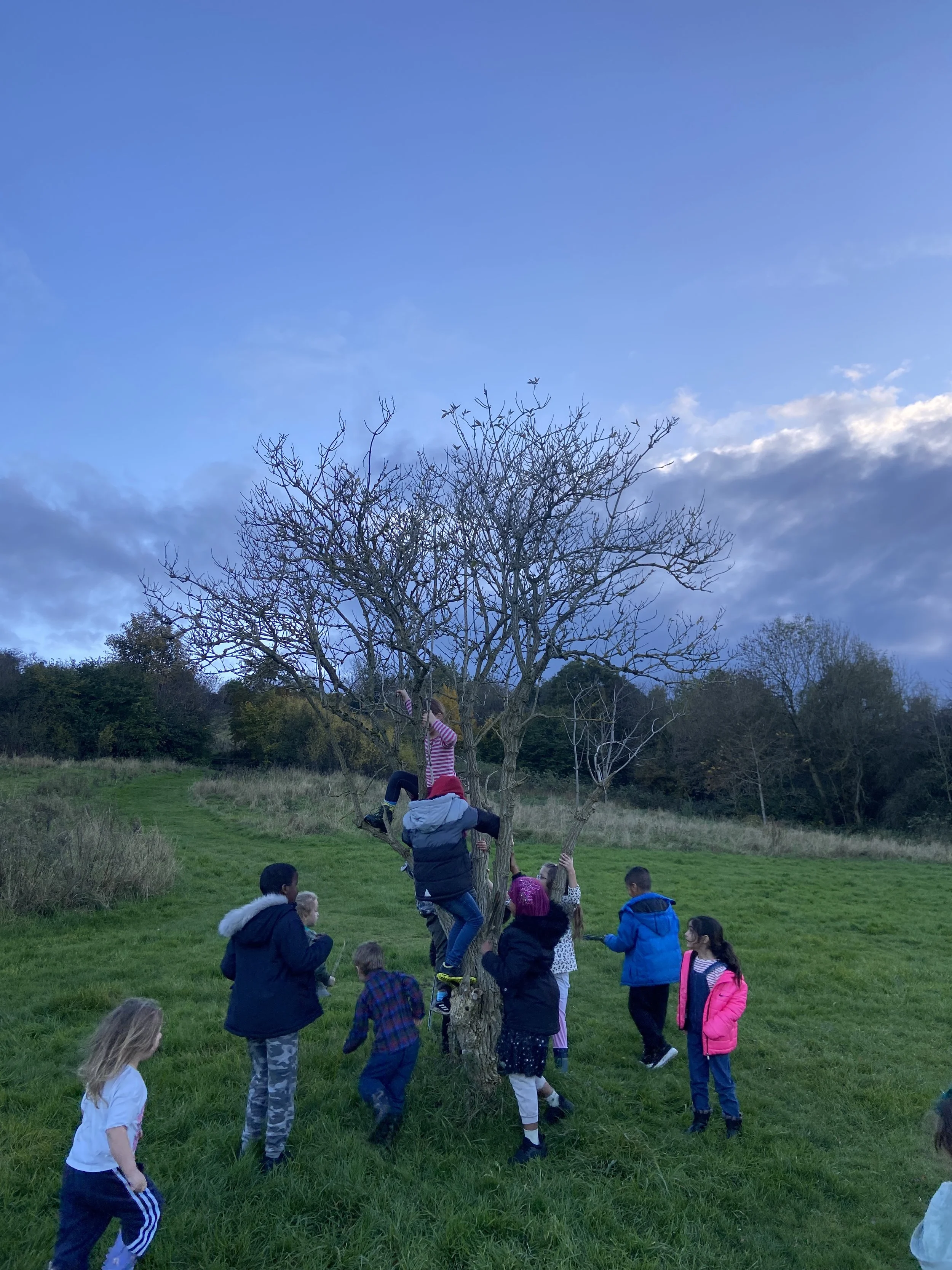 Pathways to Nature — Street Space