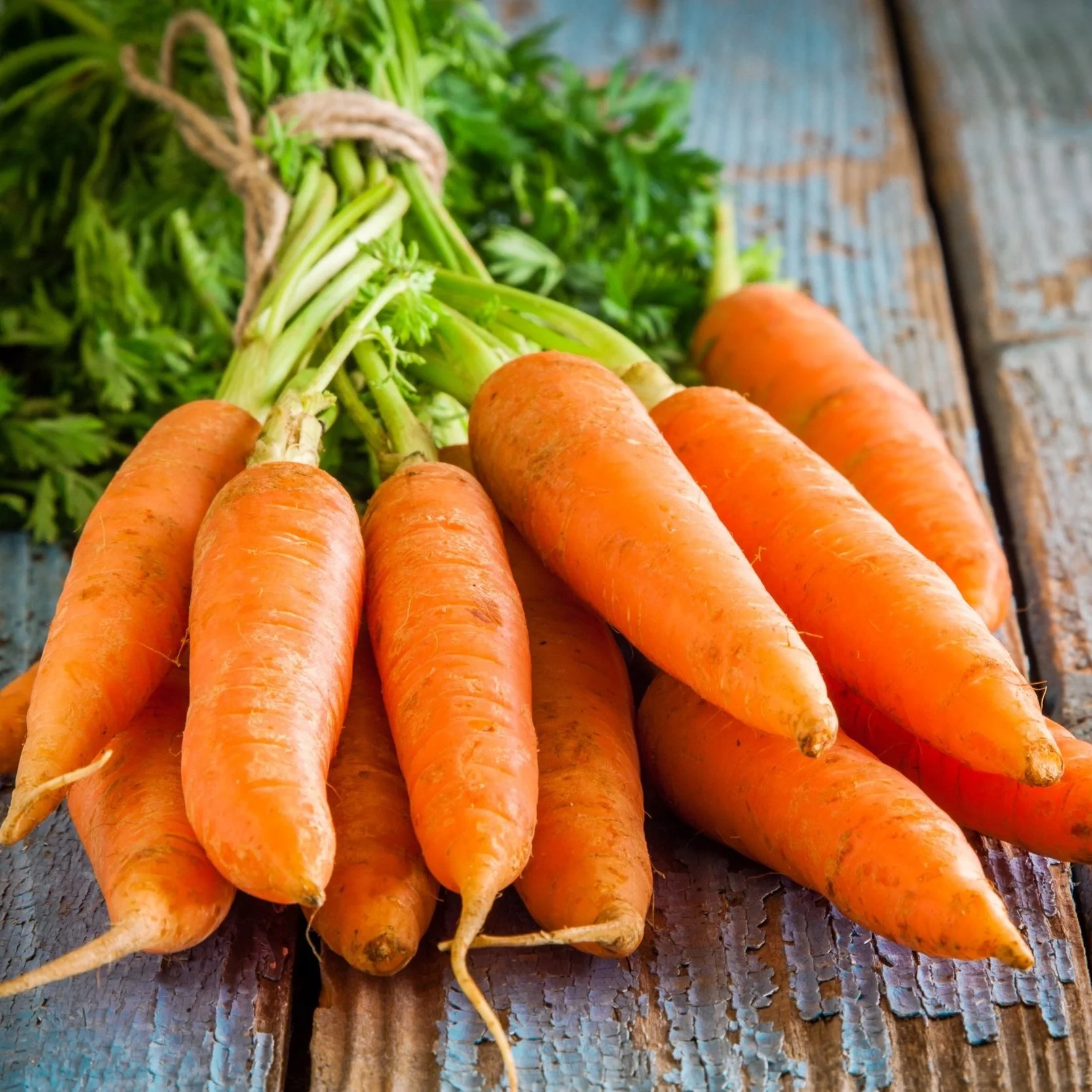 Products — Landisdale Farm