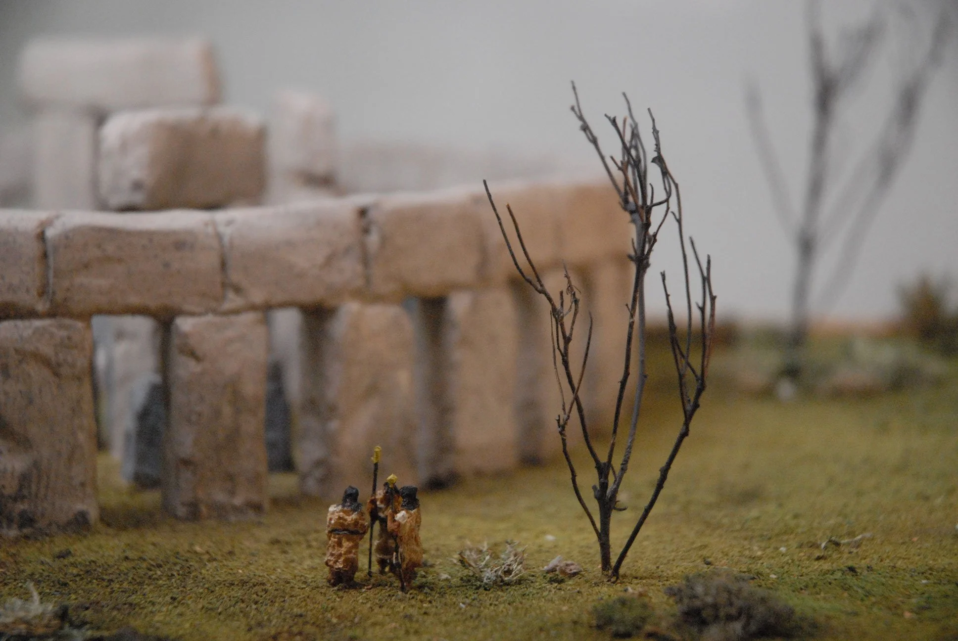 Collections — Wilson Museum