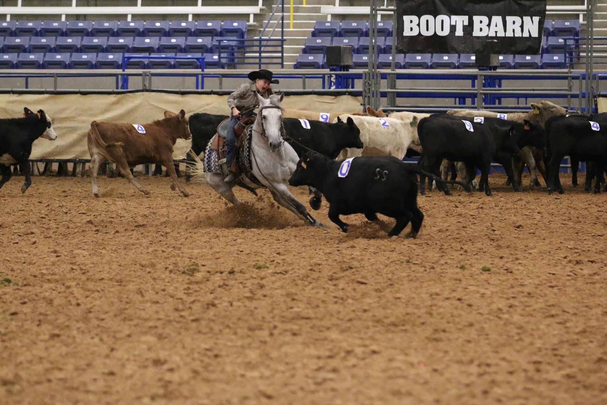 TEAM PENNING — Utah Days of 47 Rodeo | State of Utah’s official rodeo ...
