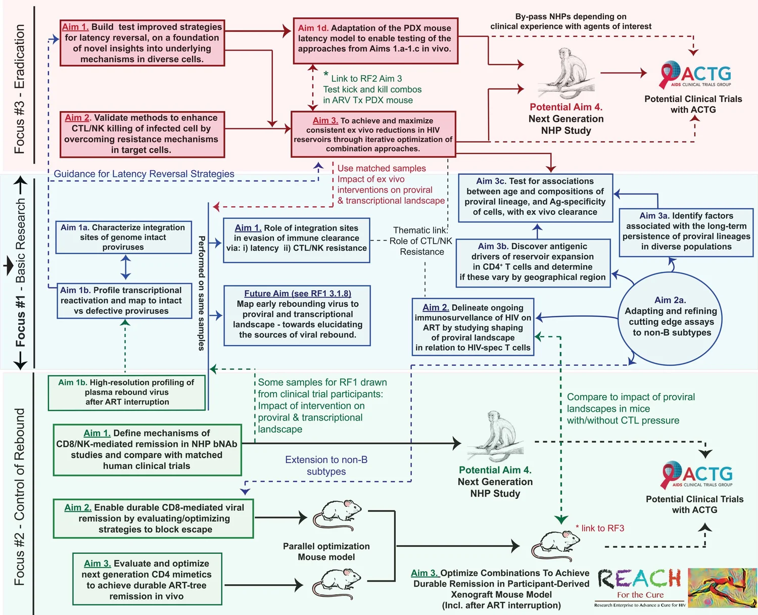 Our Research — Research Enterprise to Advance a Cure for HIV