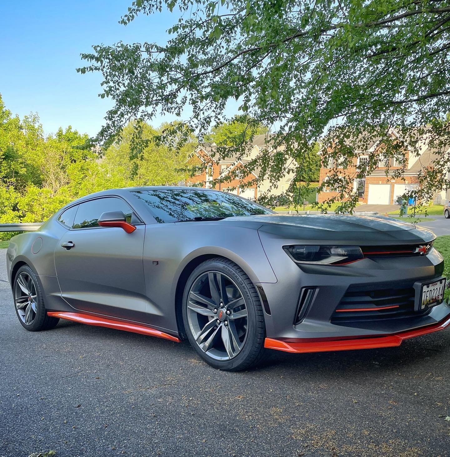 Charlie — Dapper Dog Tattoo