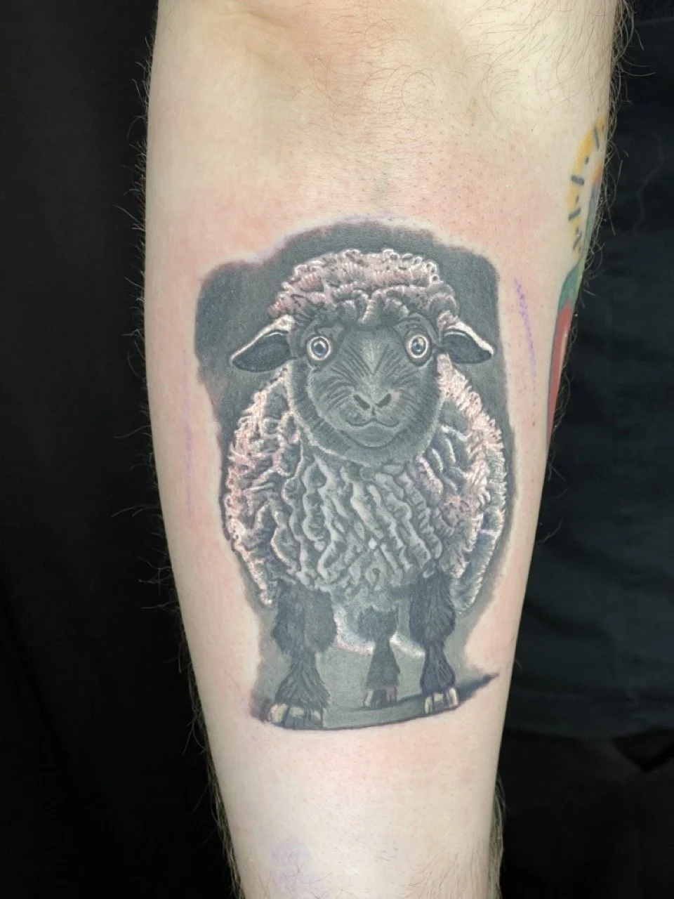 Chris — Dapper Dog Tattoo