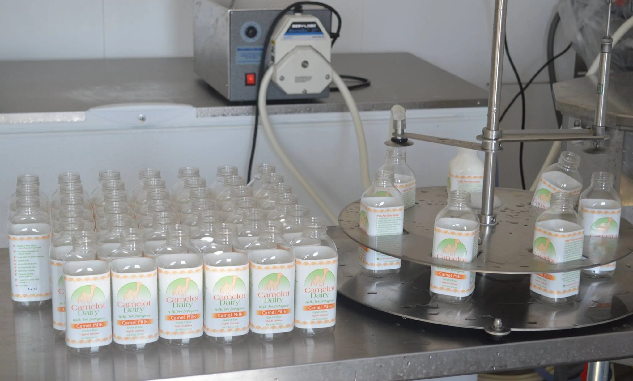 Products — Camelot Camel Dairy