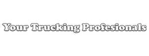 AM Express Inc | Freight transport | Trucking company