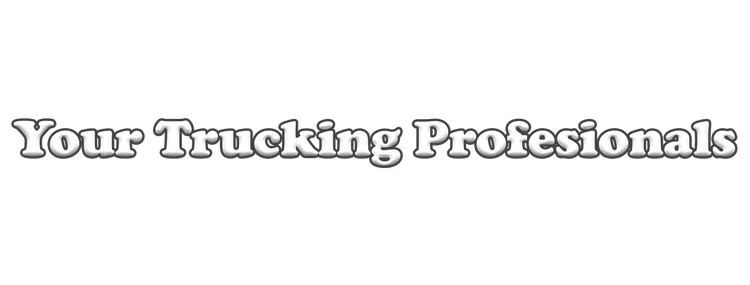 AM Express Inc | Freight transport | Trucking company