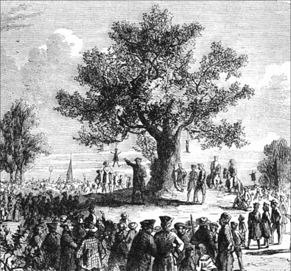 Liberty-Tree — New Jersey Society, Sons of the American Revolution