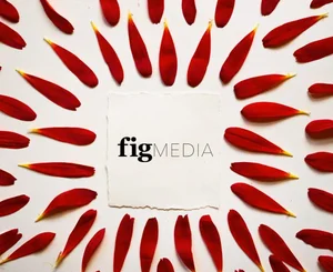 Contact — Fig Media Inc