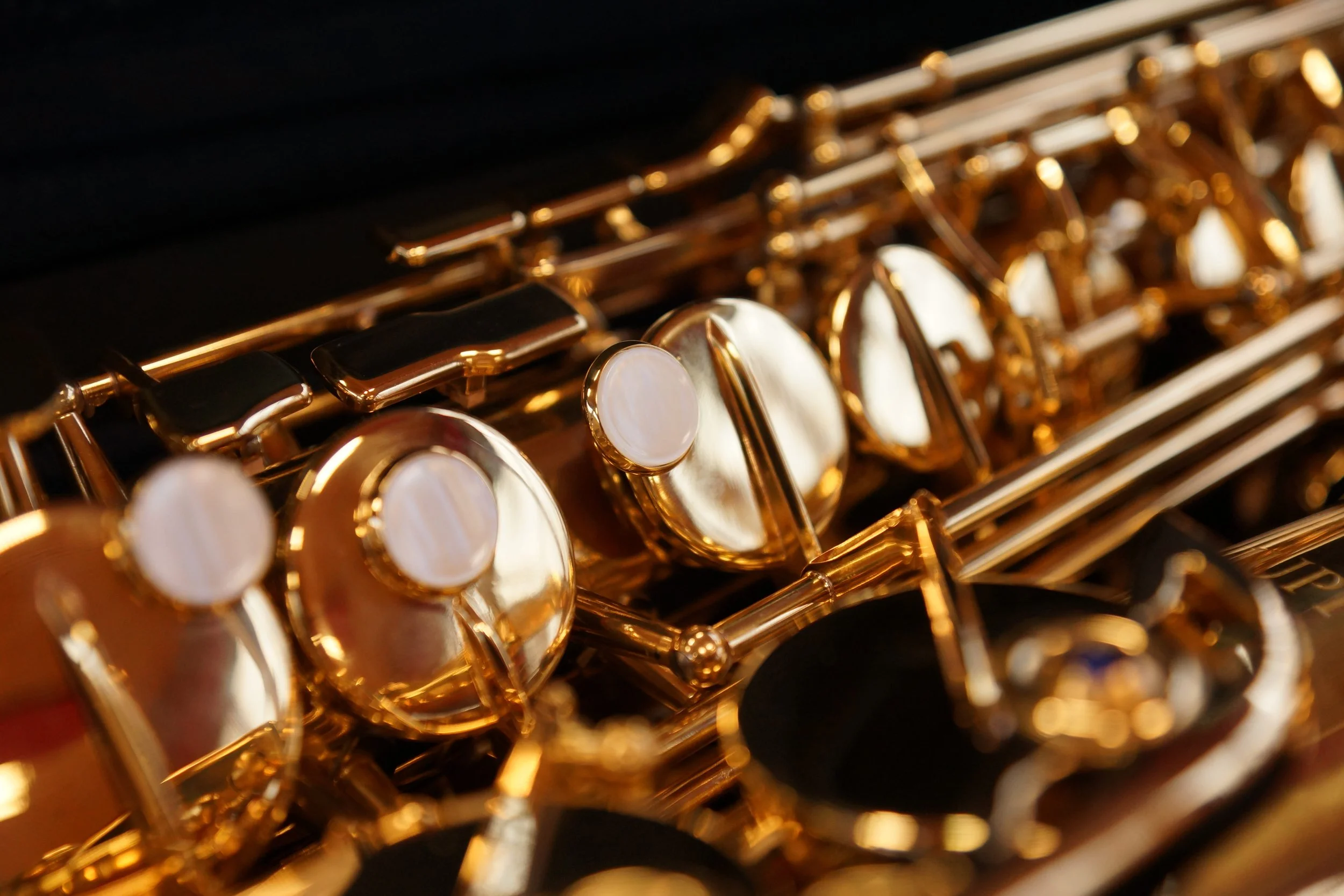 Brass Cat Instrument Repair