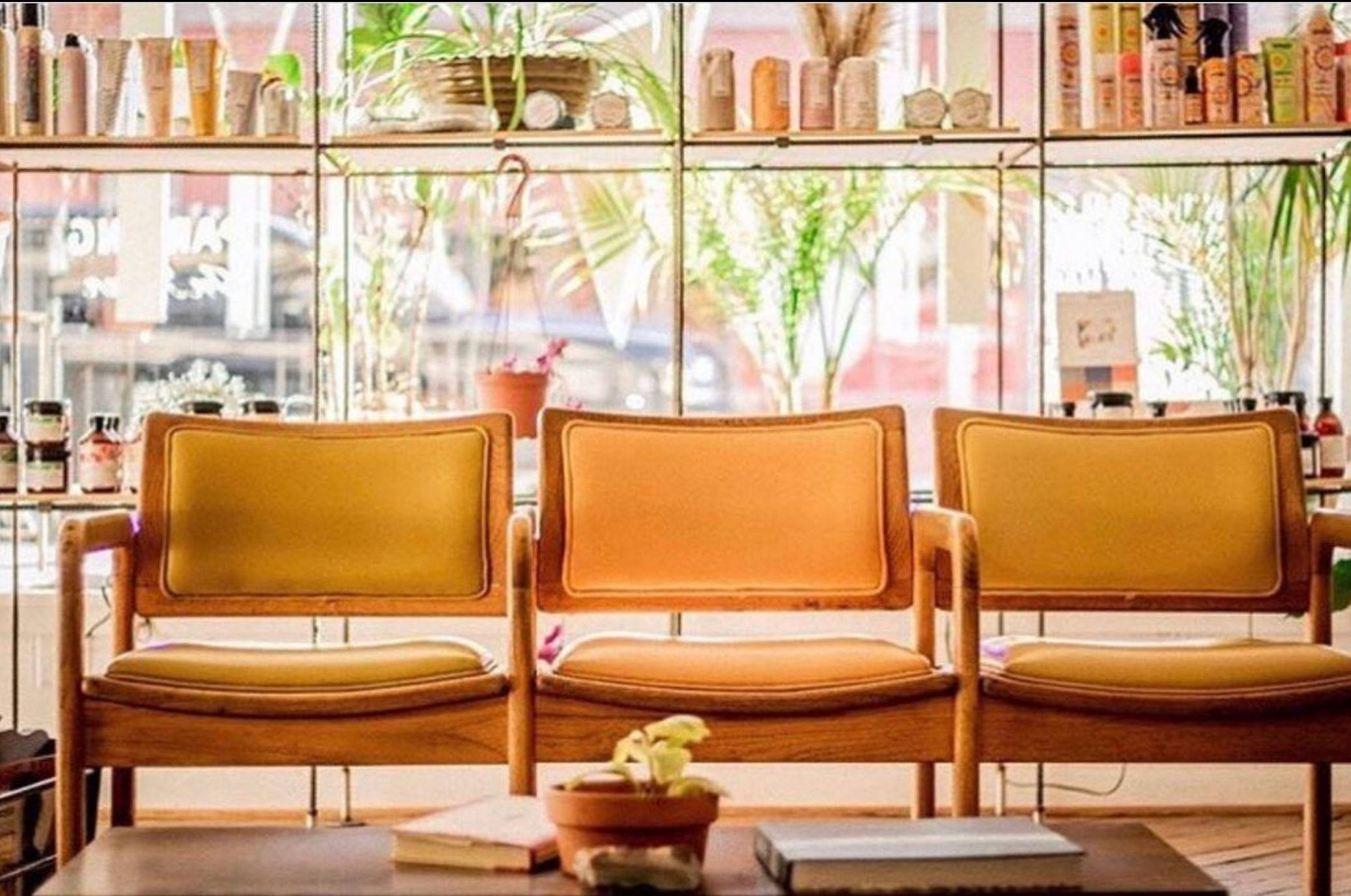 Ivy Salon & Gallery
