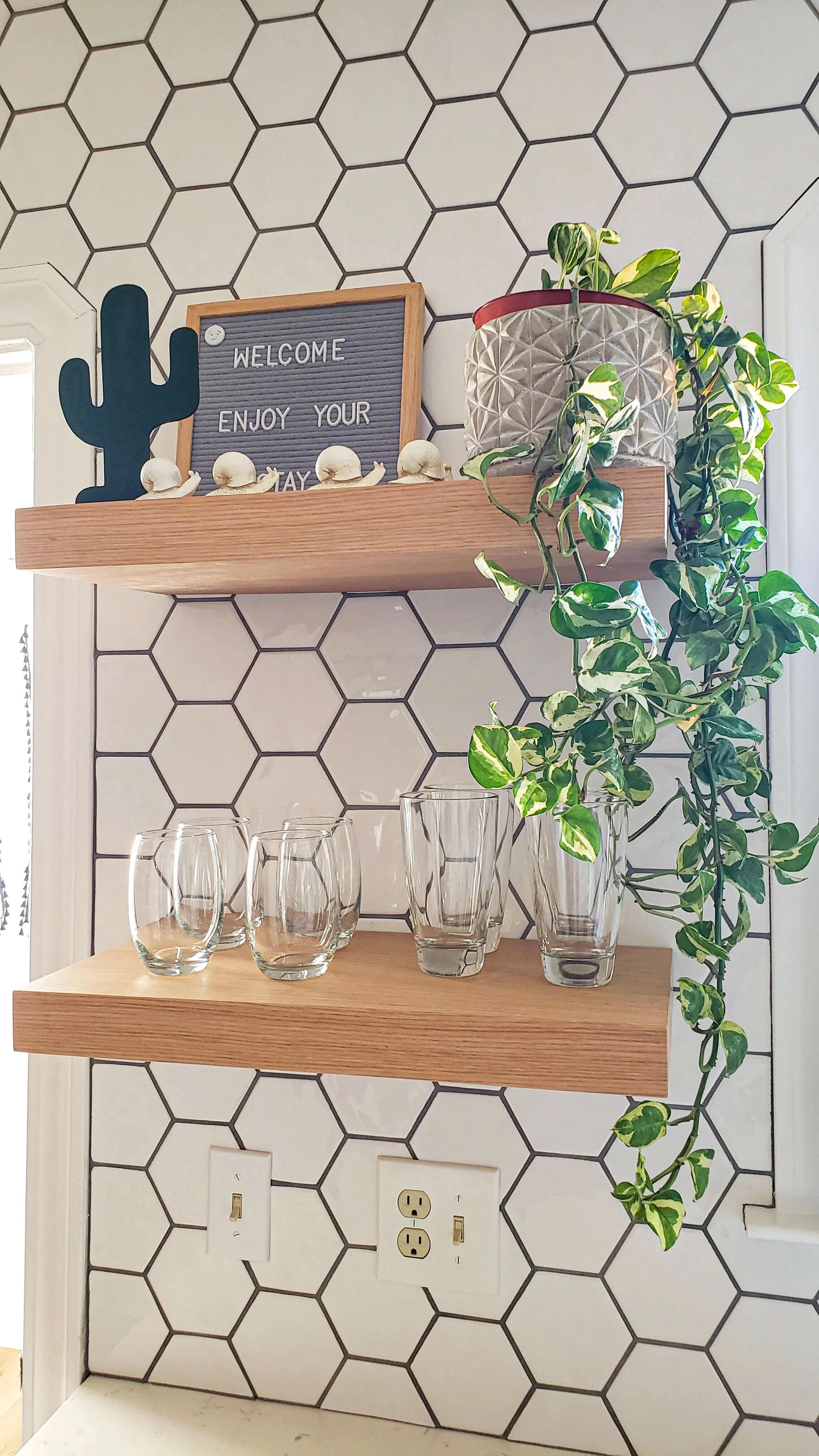 One of the Cutest Airbnb’s in Santa Rosa California — Traveling Tessie