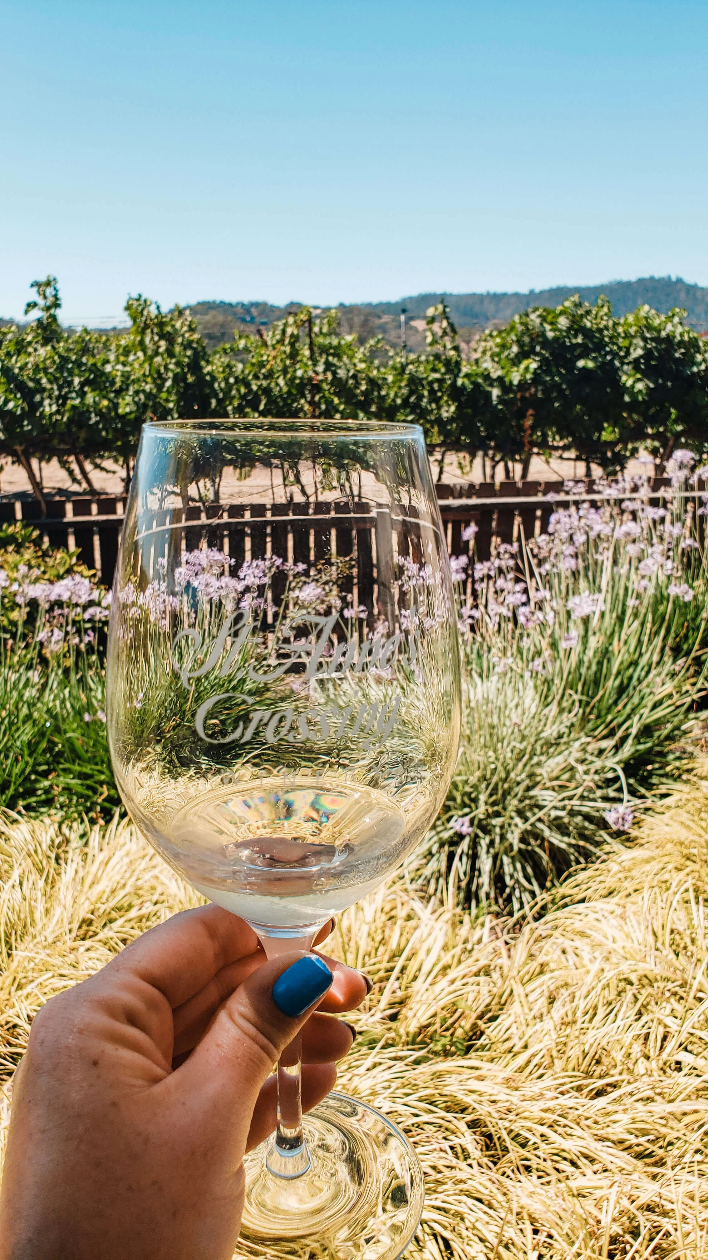 12 Amazing Sonoma County Wineries You Should Visit — Traveling Tessie