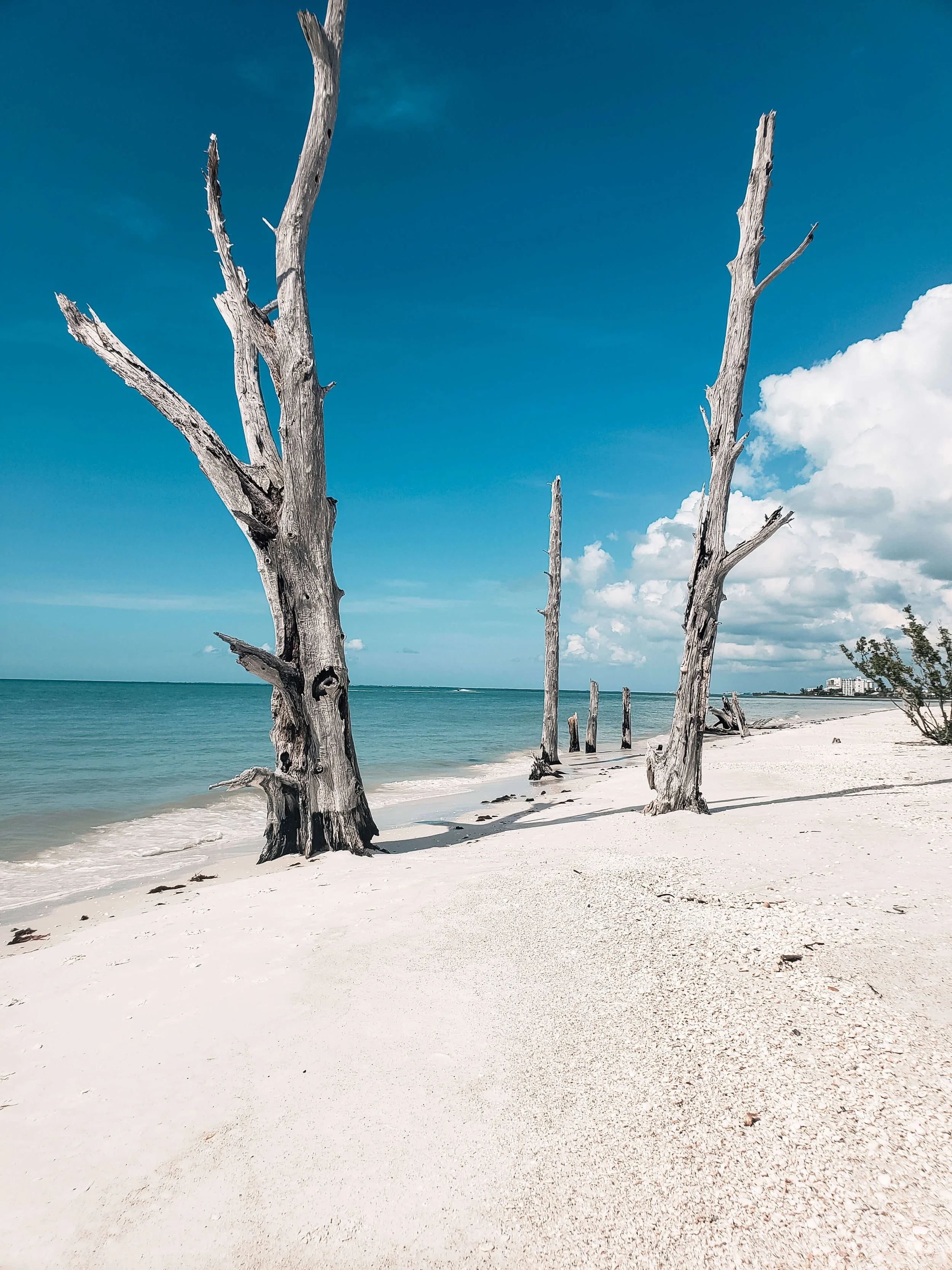 Top 11 Best Beaches in Southwest Florida — Traveling Tessie
