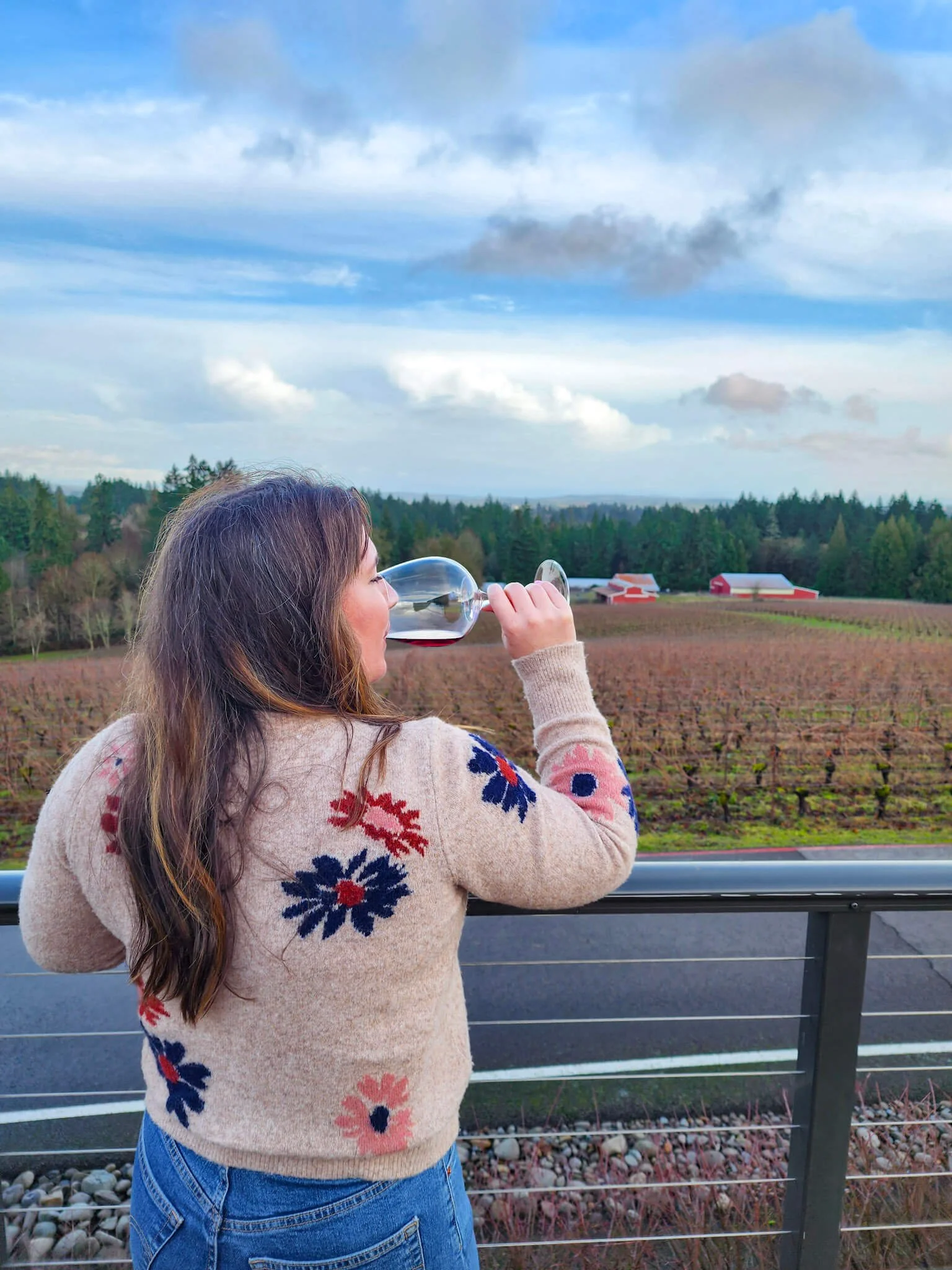 A Guide to Seattle Whale Watching Season — Traveling Tessie